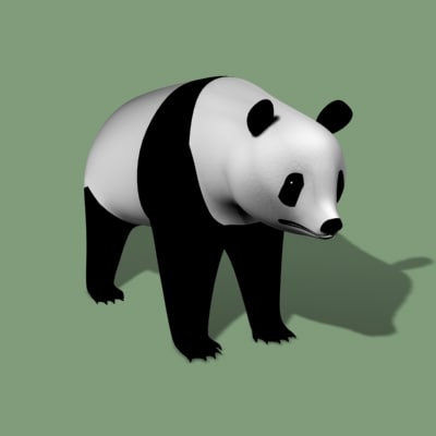 giant panda bear 3d model