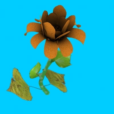 flower blooming animation 3d model
