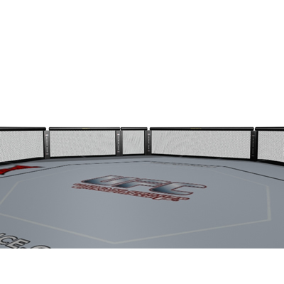 ufc octagon 3d model