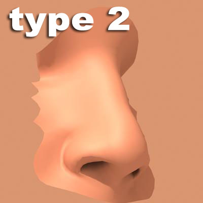 set 6 noses 3d 3ds