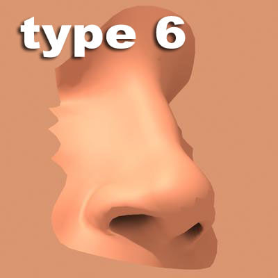set 6 noses 3d 3ds