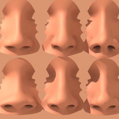 set 6 noses 3d 3ds