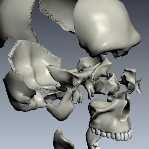 human skull exploding 3d model