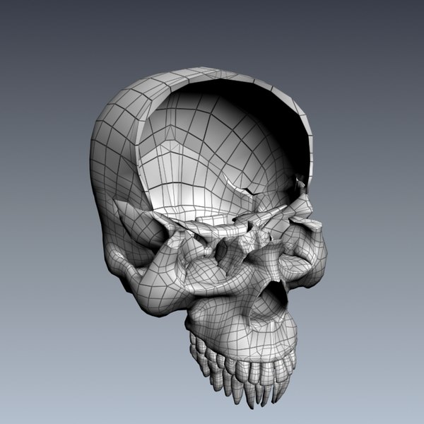 human skull exploding 3d model