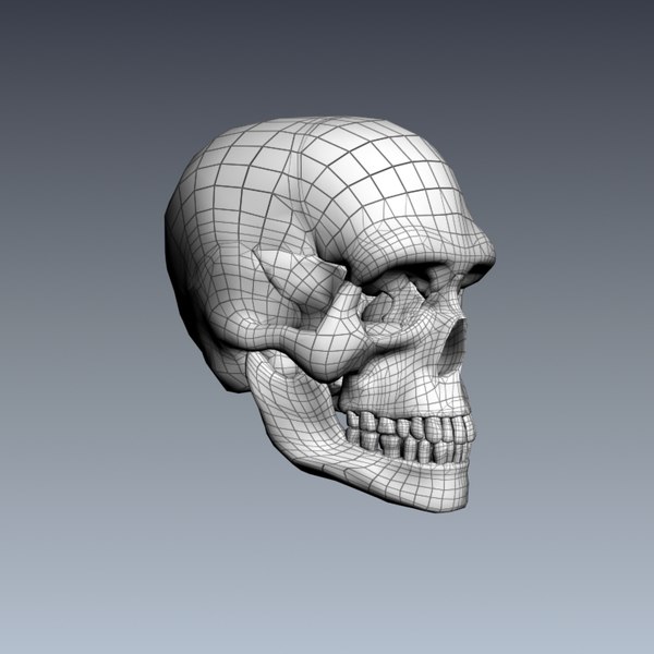 human skull exploding 3d model
