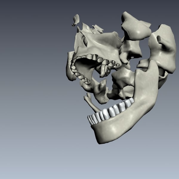 human skull exploding 3d model