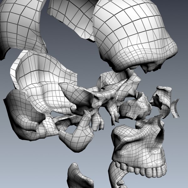 human skull exploding 3d model