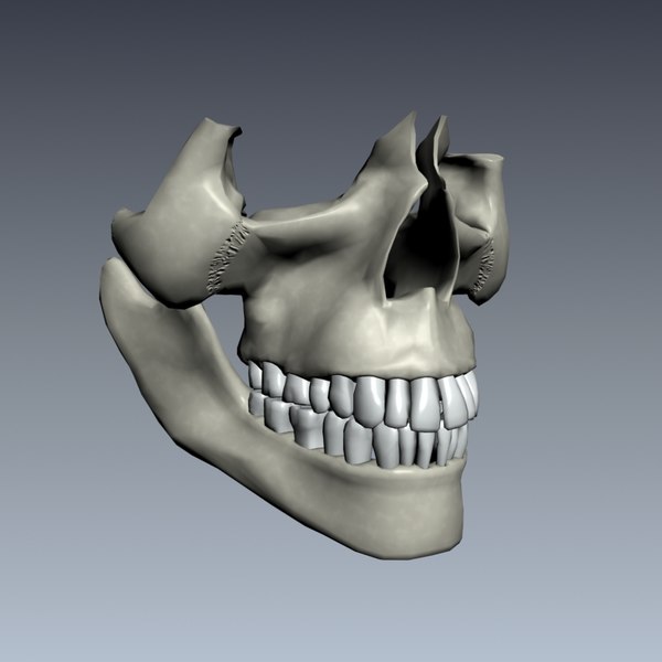 human skull exploding 3d model