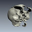 human skull exploding 3d model
