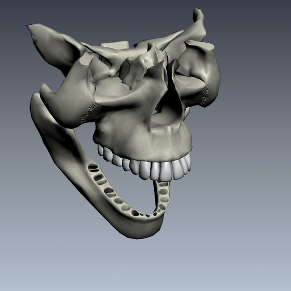 human skull exploding 3d model
