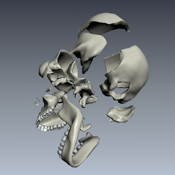 human skull exploding 3d model