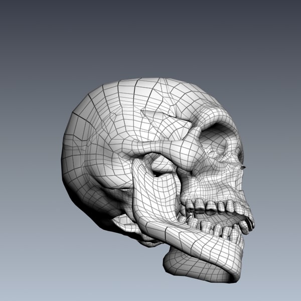 human skull exploding 3d model