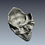 human skull exploding 3d model