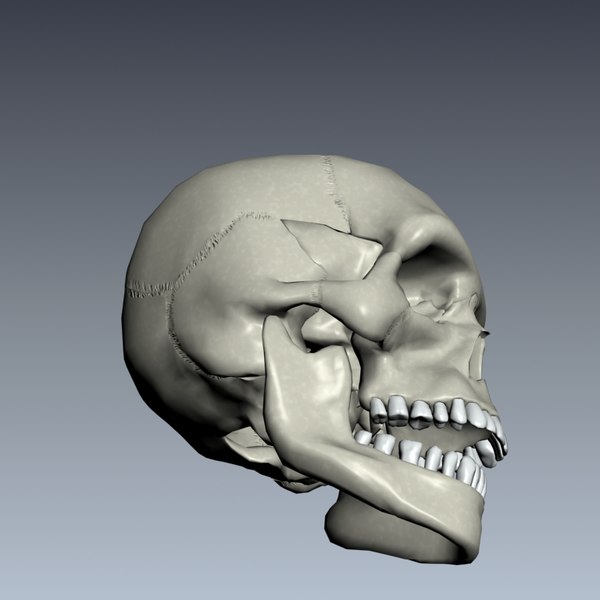 human skull exploding 3d model