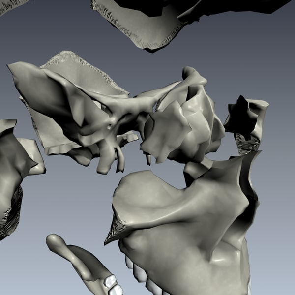human skull exploding 3d model