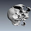 human skull exploding 3d model