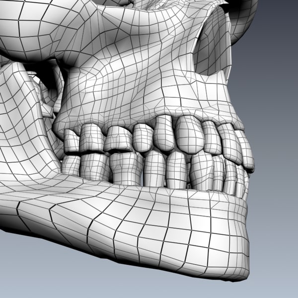 human skull exploding 3d model