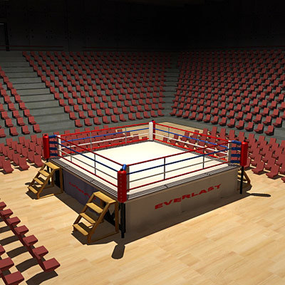 boxing arena 3d model