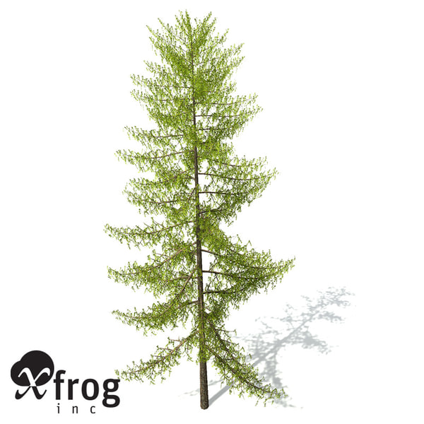 3d larch tree model