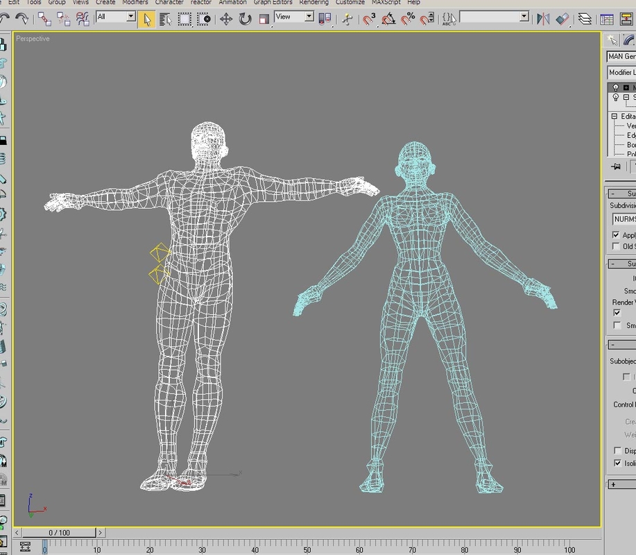generic male female bodies 3d model