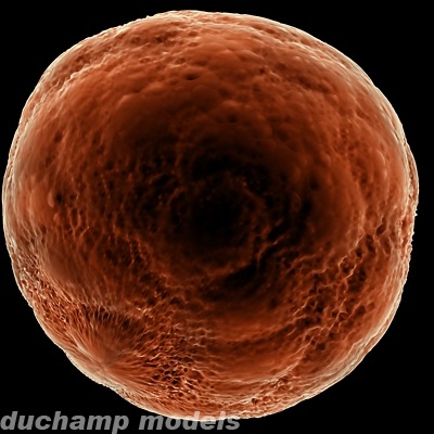 cell spherical ovum 3d model