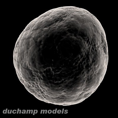 cell spherical ovum 3d model