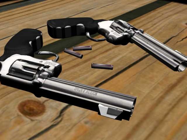 magnum 3d model