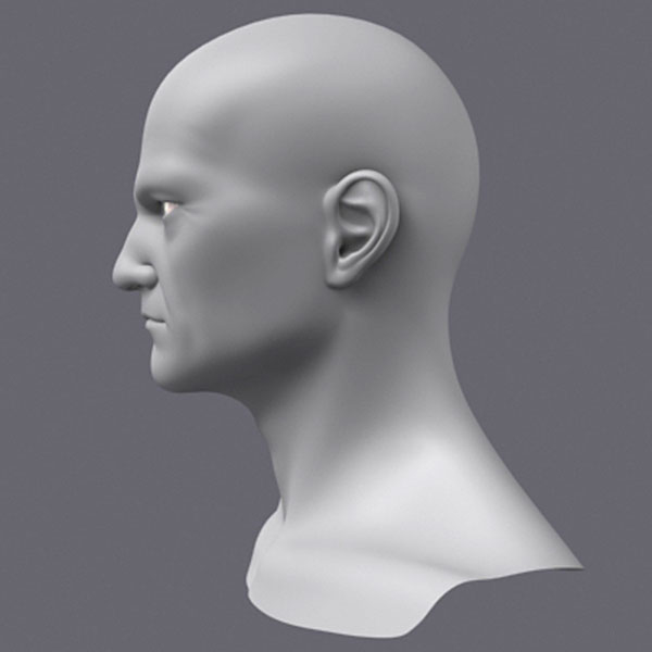 3d polygonal male head