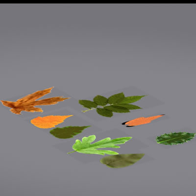 leaf opacity 3d max