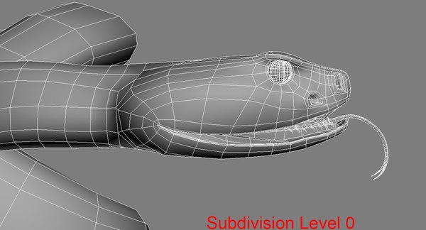 snake rattlesnake 3d model