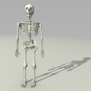 Rigged Human Skeleton Blender Models for Download | TurboSquid