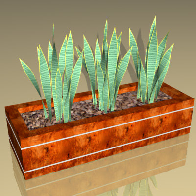 3d planter plants