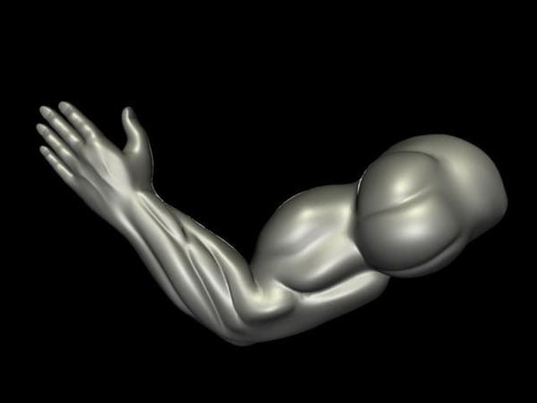 Animated Arms 3D Models for Download | TurboSquid