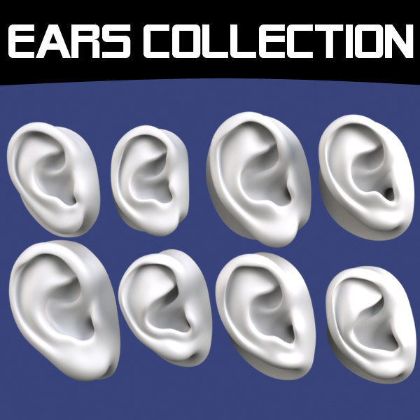 Free 3D Ears Models | TurboSquid