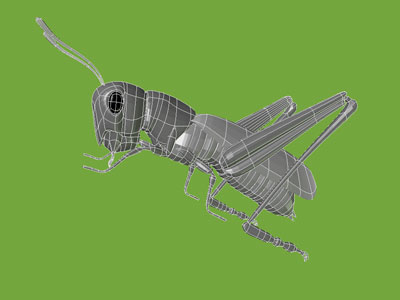 3d model insects beetle ant wasp