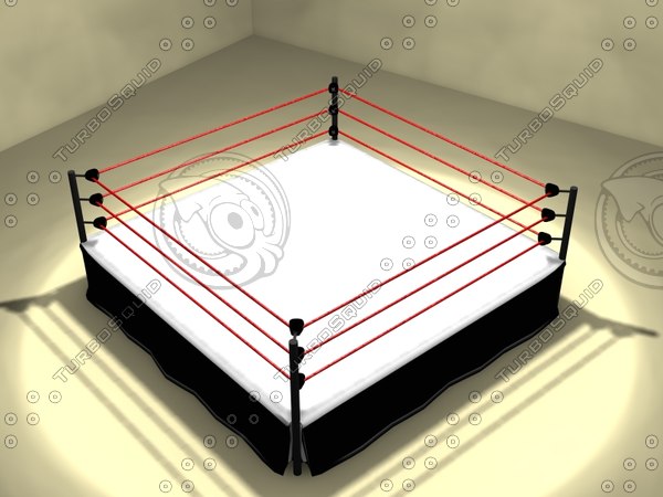 modelo 3d Anillo de lucha - TurboSquid 300031