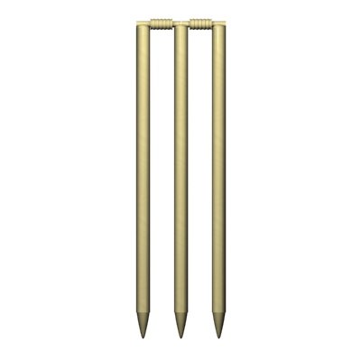 cricket stumps 3d model