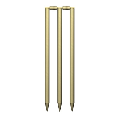 cricket stumps 3d model
