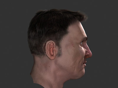 3d realistic human head skin model