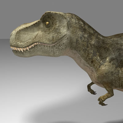 t-rex 3d model