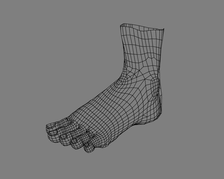 3d foot model