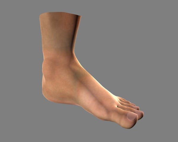 Foot 3D Models for Download | TurboSquid