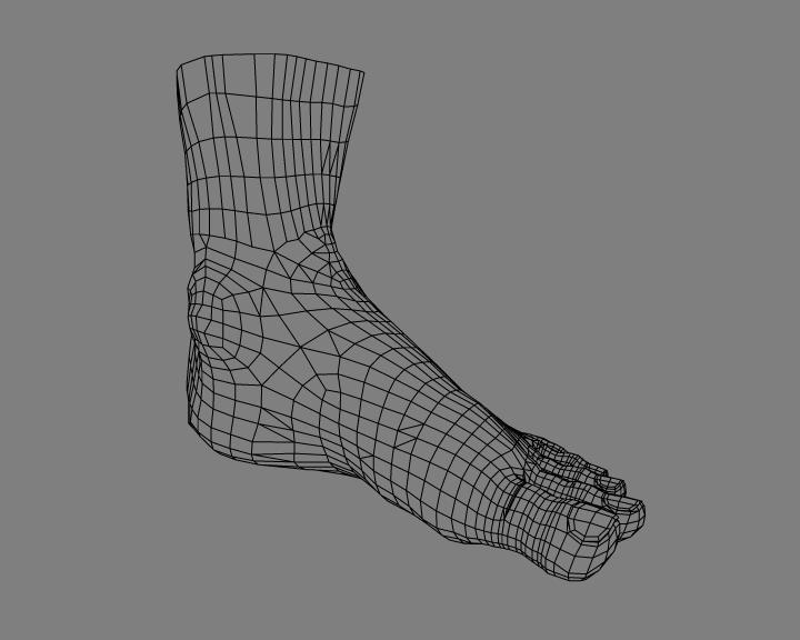3d foot model