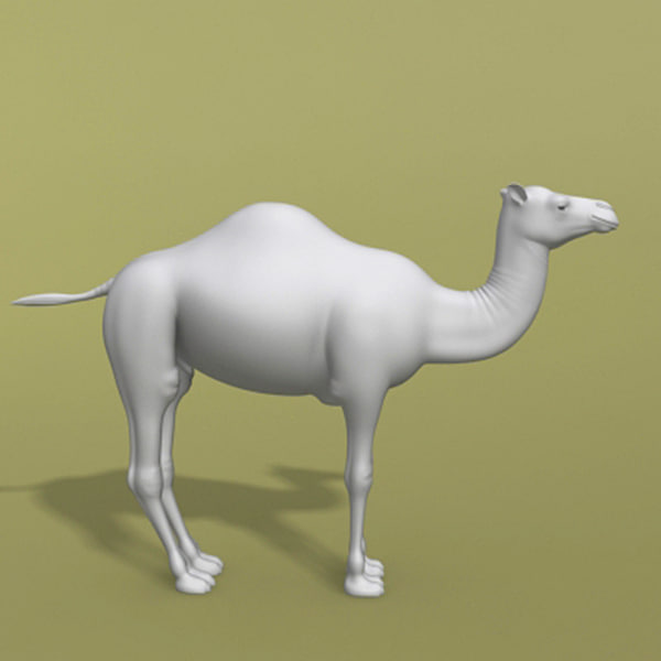 polygonal camel 3d model