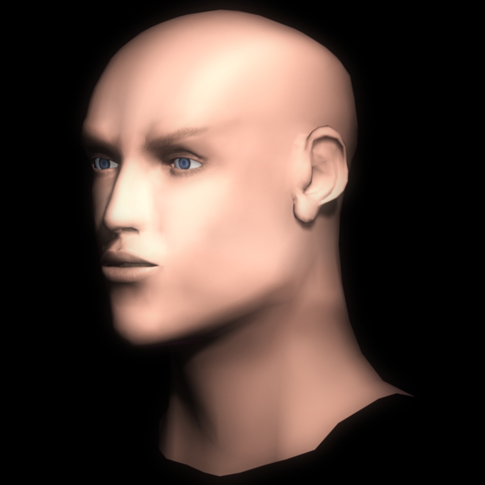 free max model face