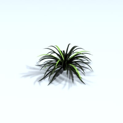 spikey plant 3d model