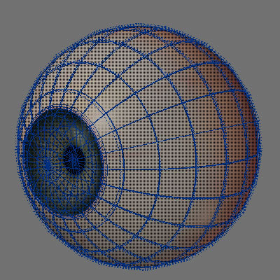 realistic human eye 3d model