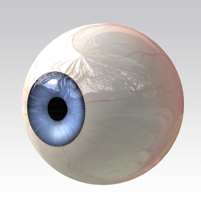 realistic human eye 3d model