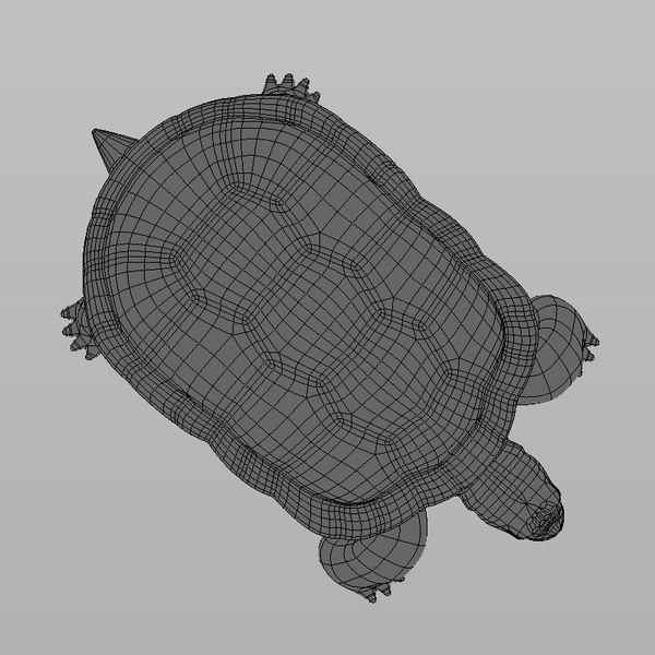turtle reptile 3d model