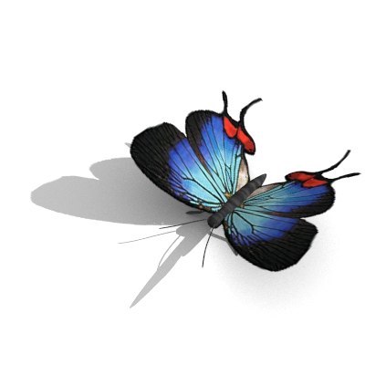 butterfly 3d obj